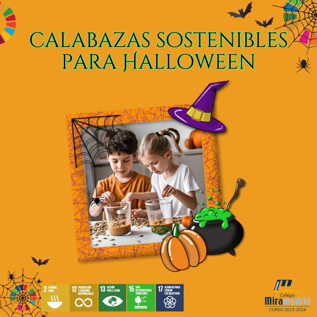 Calabazas sostenibles | Colegio Miramadrid